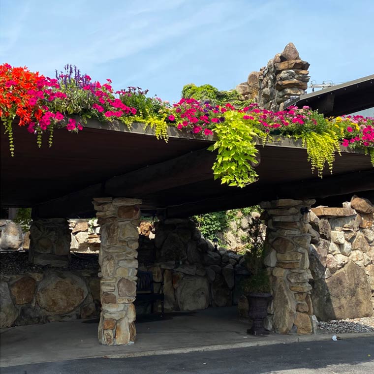 Home - Bruce Spruce Design