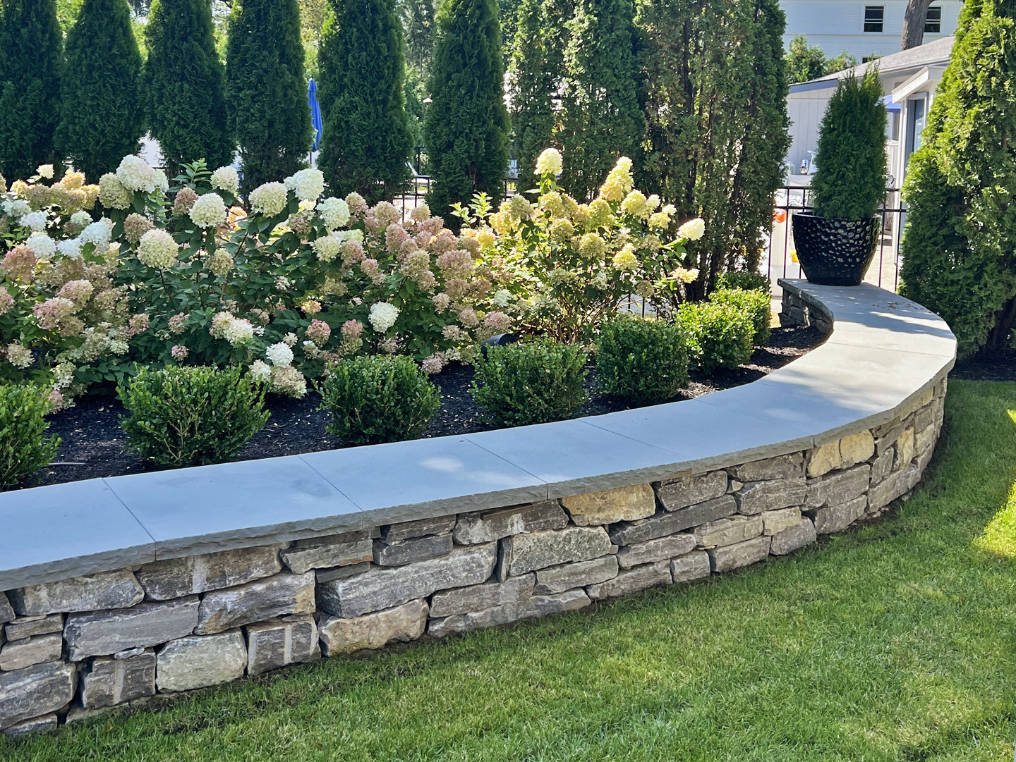 Landscape Design - Blue Spruce Design