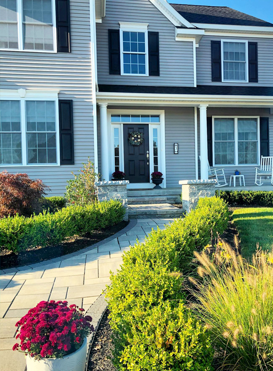 Home - Blue Spruce Design